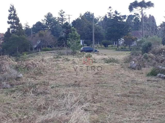 Terreno em Condomínio para Venda em São Francisco de Paula/RS Remanso Indianópolis