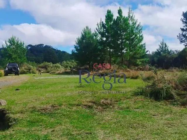 Terreno em Condomínio para Venda em São Francisco de Paula/RS Remanso Indianópolis