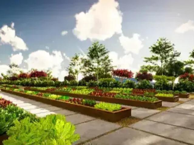 Terreno em Condomínio para Venda em São José da Coroa Grande/PE Centro