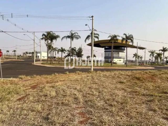 Terreno em Condomínio para Venda em São José do Rio Preto/SP Centro Empresarial Coplan