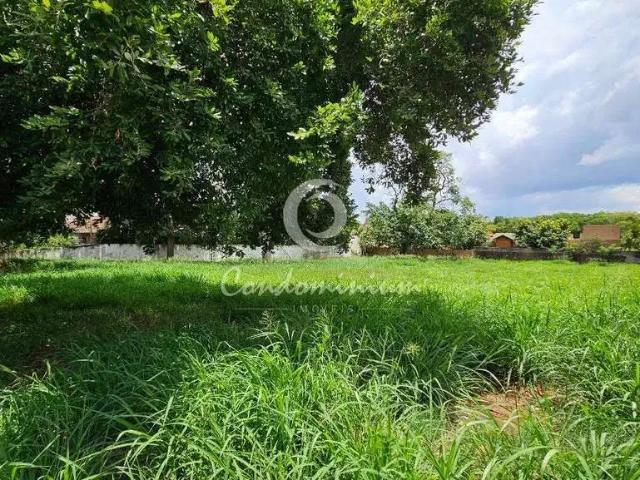 Terreno em Condomínio para Venda em São José do Rio Preto/SP Condomínio Débora Cristina
