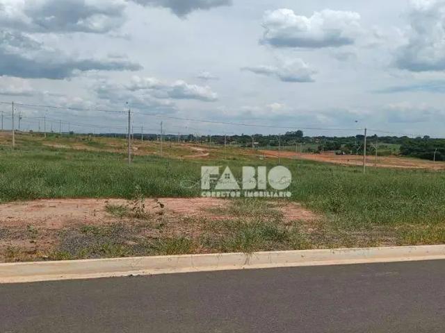Terreno em Condomínio para Venda em São José do Rio Preto/SP Condomínio Eplenum