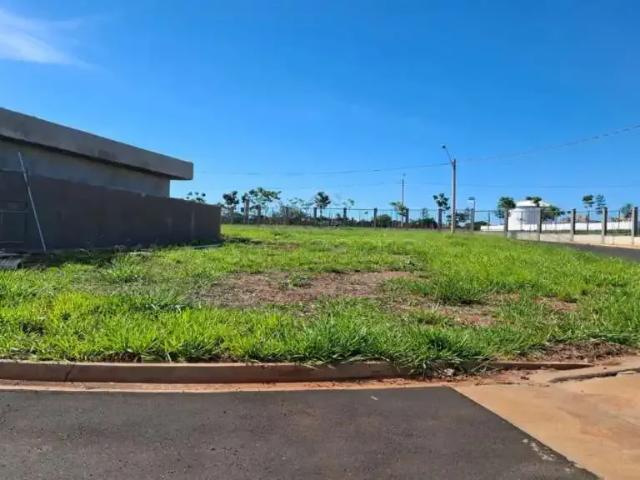 Terreno em Condomínio para Venda em São José do Rio Preto/SP Condomínio Eplenum