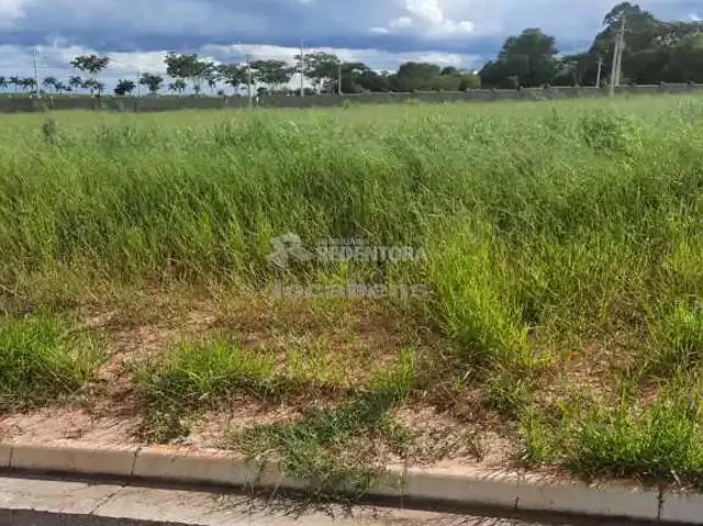 Terreno em Condomínio para Venda em São José do Rio Preto/SP Iguatemi