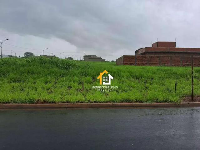 Terreno em Condomínio para Venda em São José do Rio Preto/SP Iguatemi