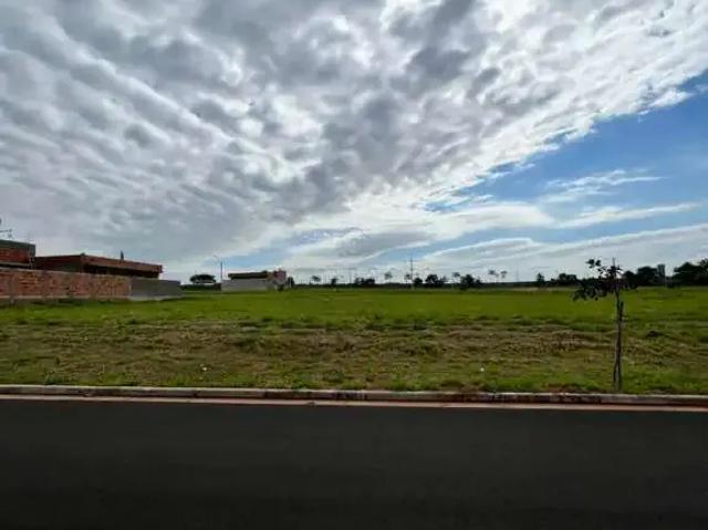 Terreno em Condomínio para Venda em São José do Rio Preto/SP Jardim Paulistano