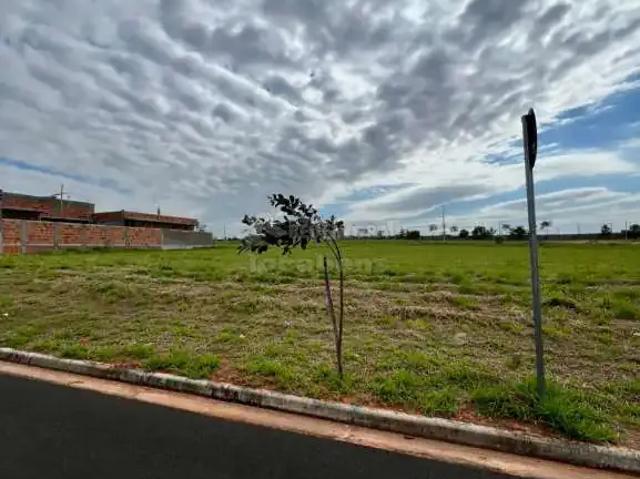 Terreno em Condomínio para Venda em São José do Rio Preto/SP Jardim Vitagliano