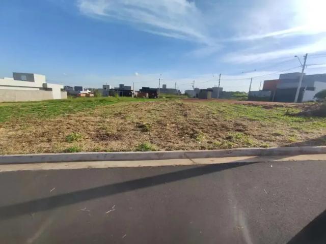 Terreno em Condomínio para Venda em São José do Rio Preto/SP Maisparque Rio Preto