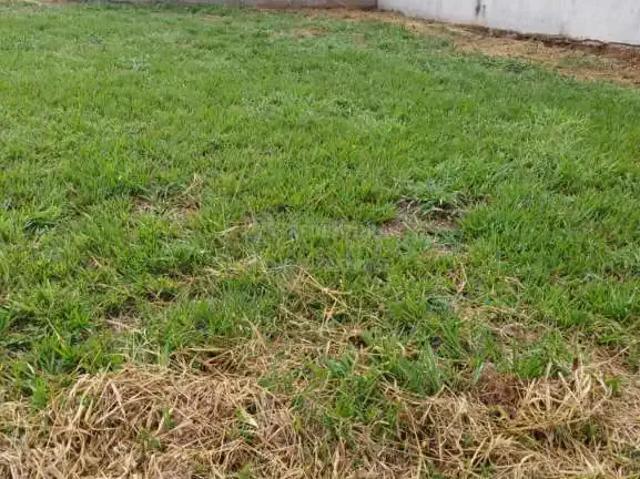 Terreno em Condomínio para Venda em São José do Rio Preto/SP Parque Residencial Nature I