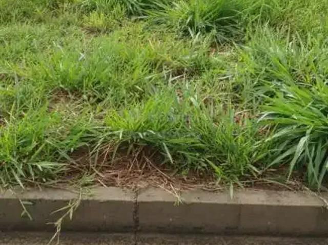 Terreno em Condomínio para Venda em São José do Rio Preto/SP Quinta do Lago Lac Léman