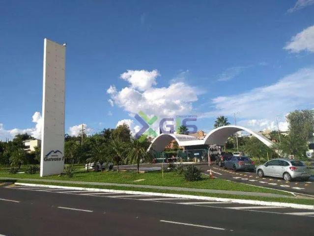 Terreno em Condomínio para Venda em São José do Rio Preto/SP Residencial Gaivota I