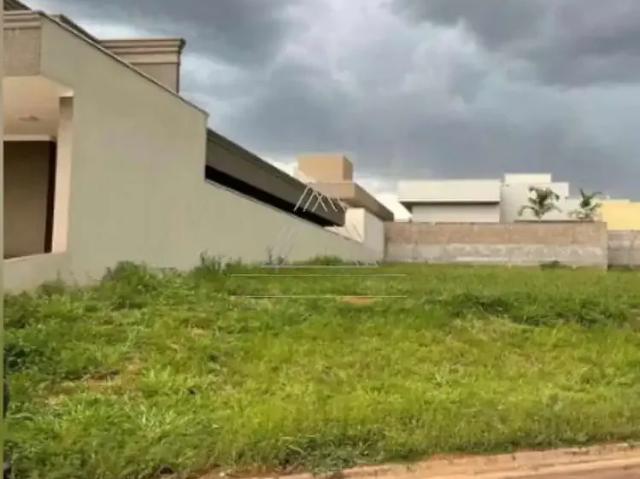 Terreno em Condomínio para Venda em São José do Rio Preto/SP Residencial Gaivota II