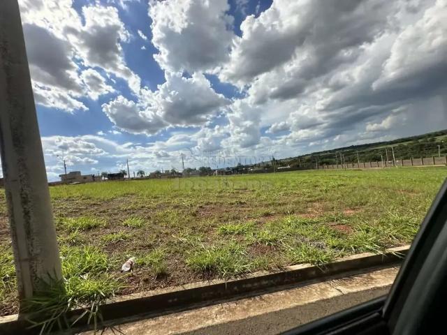 Terreno em Condomínio para Venda em São José do Rio Preto/SP Residencial Maria Júlia