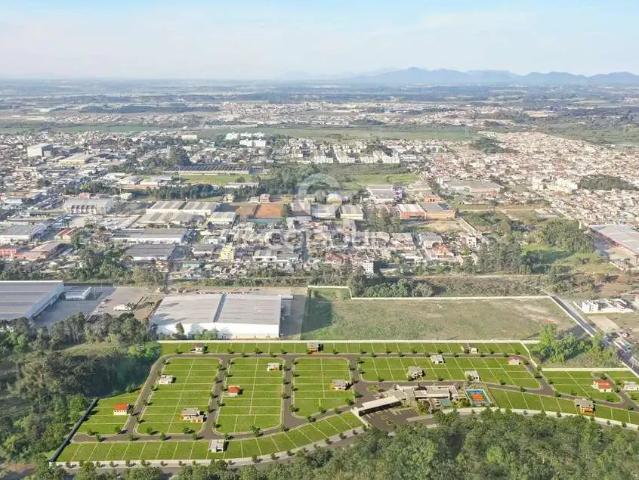 Terreno em Condomínio para Venda em São José dos Pinhais/PR Aviação 1 Quartos