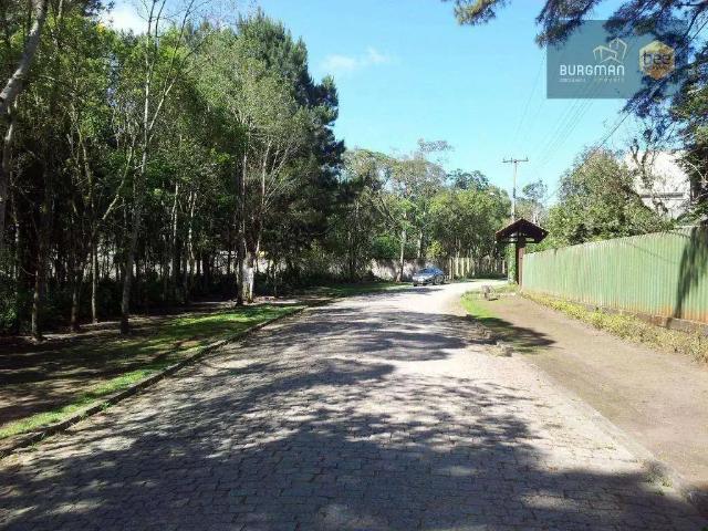 Terreno em Condomínio para Venda em São José dos Pinhais/PR Borda do Campo