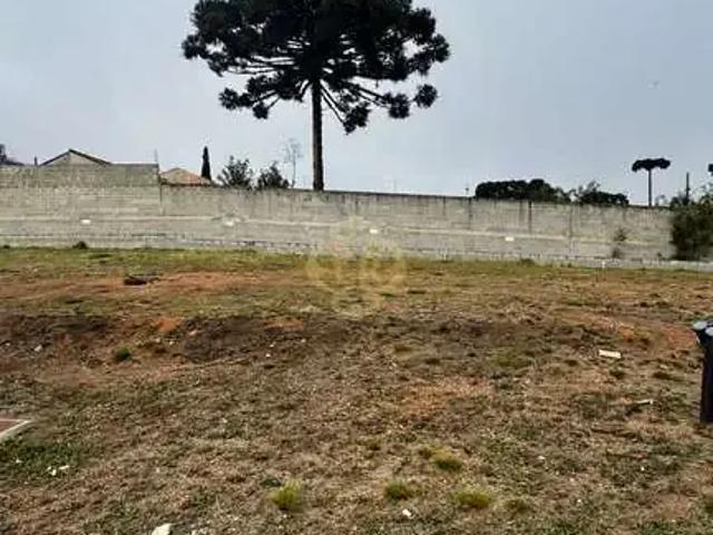Terreno em Condomínio para Venda em São José dos Pinhais/PR Costeira