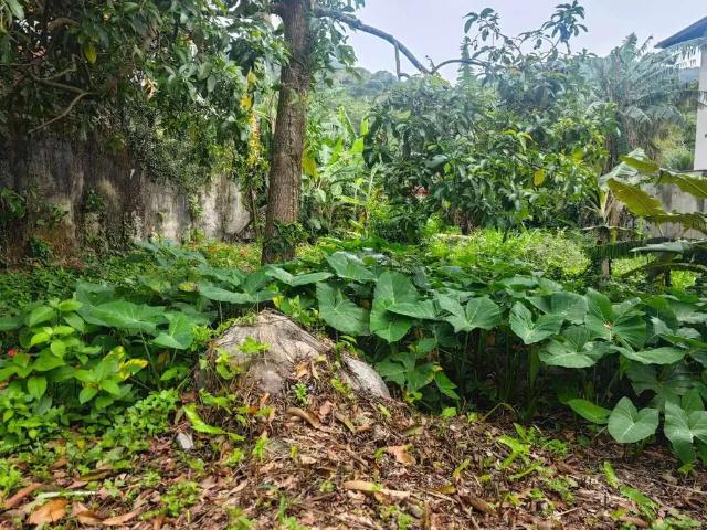 Terreno em Condomínio para Venda em São Sebastião/SP Toque Toque Pequeno
