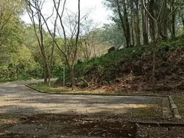 Terreno em Condomínio para Venda em São Paulo/SP Cachoeirinha