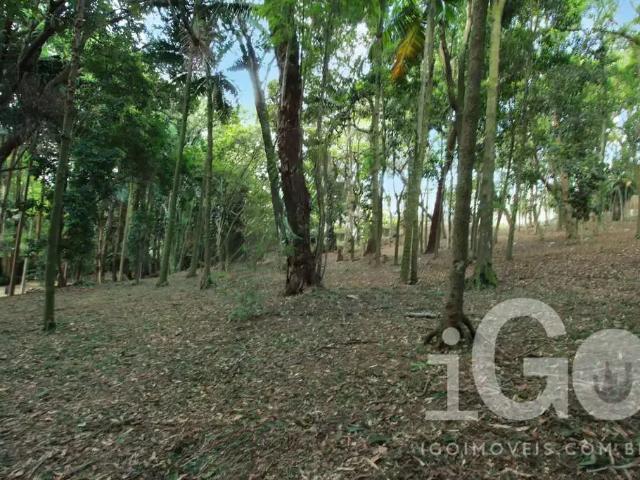 Terreno em Condomínio para Venda em São Paulo/SP Chácara Flora