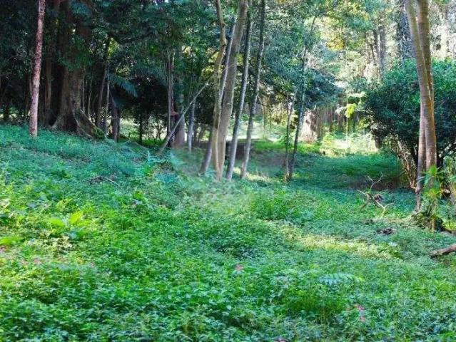 Terreno em Condomínio para Venda em São Paulo/SP Chácara Flora
