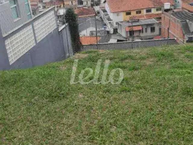 Terreno em Condomínio para Venda em São Paulo/SP Horto Florestal