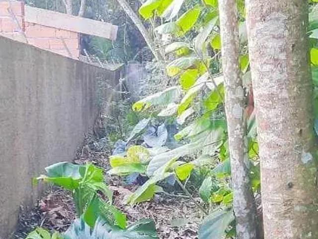 Terreno em Condomínio para Venda em São Paulo/SP Jardim das Palmeiras Zona Sul