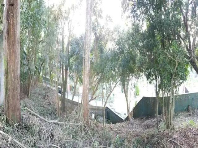 Terreno em Condomínio para Venda em São Paulo/SP Jardim Ibiratiba