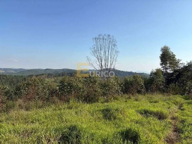 Terreno em Condomínio para Venda em São Paulo/SP Jardim Santa Branca