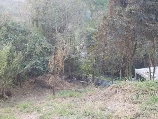 Terreno em Condomínio para Venda em São Paulo/SP Jardim Peri
