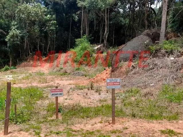 Terreno em Condomínio para Venda em São Paulo/SP Jardim Peri