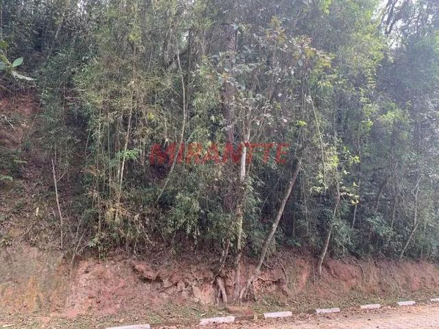 Terreno em Condomínio para Venda em São Paulo/SP Serra da Cantareira