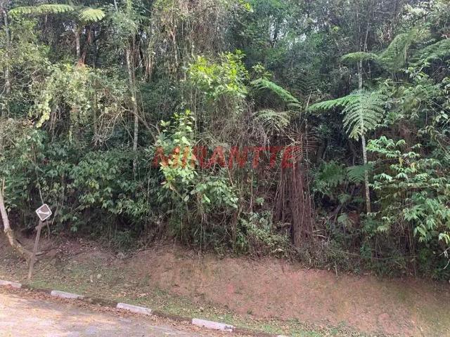 Terreno em Condomínio para Venda em São Paulo/SP Serra da Cantareira