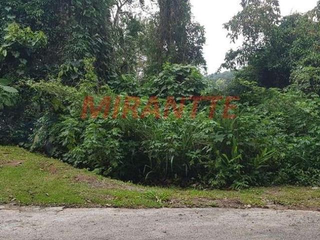 Terreno em Condomínio para Venda em São Paulo/SP Serra da Cantareira