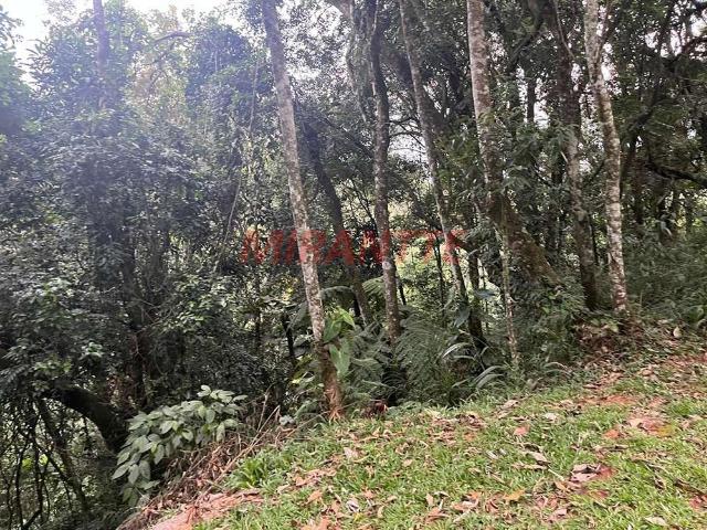 Terreno em Condomínio para Venda em São Paulo/SP Serra da Cantareira
