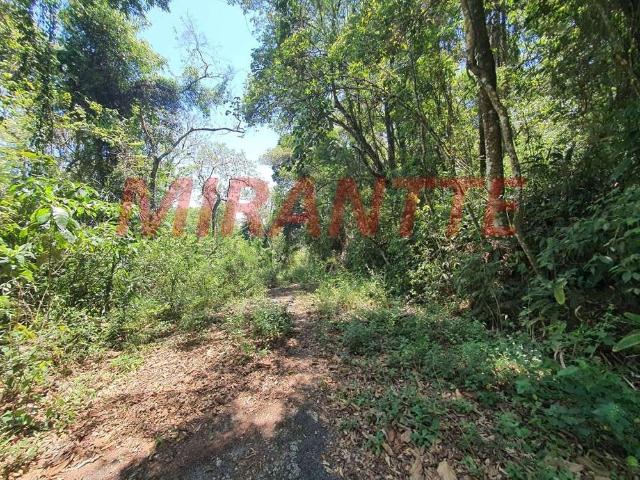 Terreno em Condomínio para Venda em São Paulo/SP Serra da Cantareira