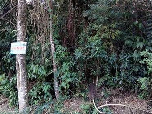 Terreno em Condomínio para Venda em São Paulo/SP Serra da Cantareira