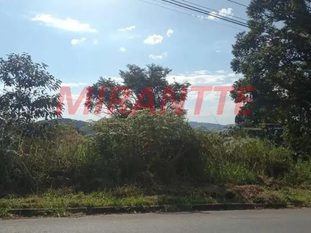 Terreno em Condomínio para Venda em São Paulo/SP Serra da Cantareira