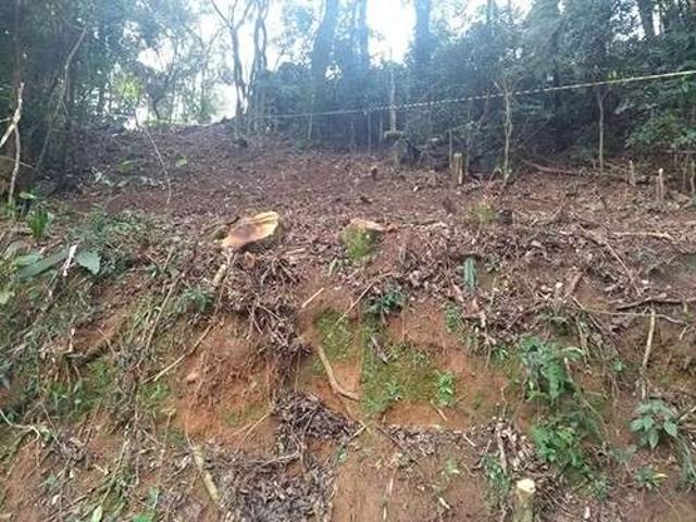 Terreno em Condomínio para Venda em São Paulo/SP Serra da Cantareira
