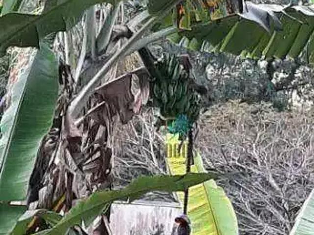 Terreno em Condomínio para Venda em São Paulo/SP Sete Praias