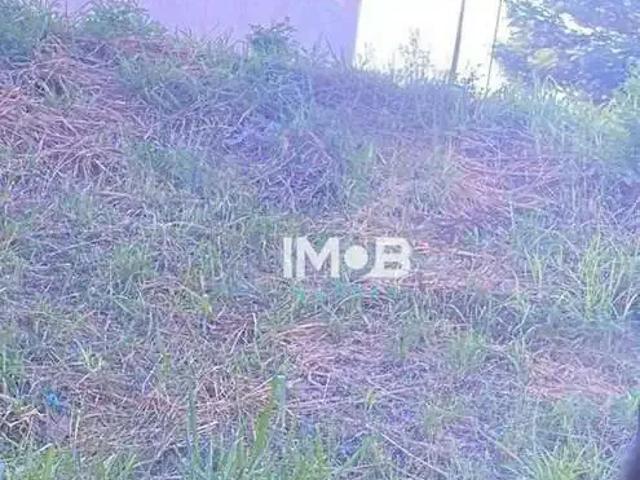 Terreno em Condomínio para Venda em São Pedro da Aldeia/RJ Nova São Pedro
