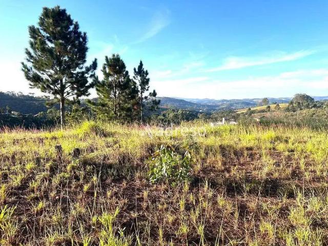 Terreno em Condomínio para Venda em São Roque/SP Loteamento Altos de São Roque