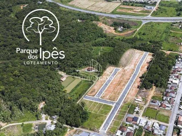 Terreno em Condomínio para Venda em Schroeder/SC Schroeder I