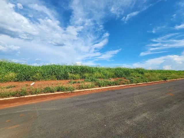 Terreno em Condomínio para Venda em Santa Bárbara D'Oeste/SP Jardim dos Cedros