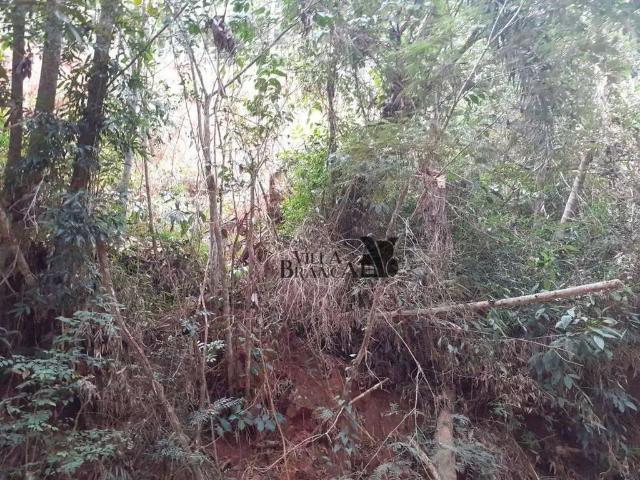 Terreno em Condomínio para Venda em Santa Branca/SP Centro