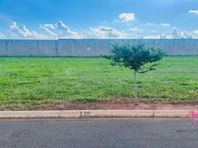 Terreno em Condomínio para Venda em Santa Cruz da Conceição/SP Jardim Residencial Flor do Ypê