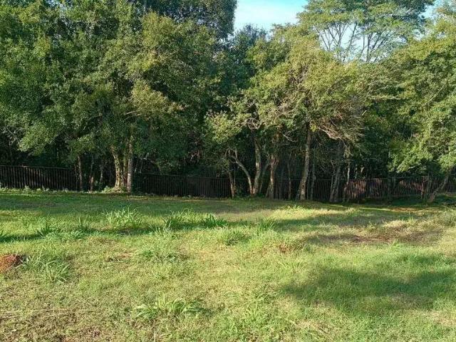 Terreno em Condomínio para Venda em Santa Cruz do Sul/RS Jardim Europa