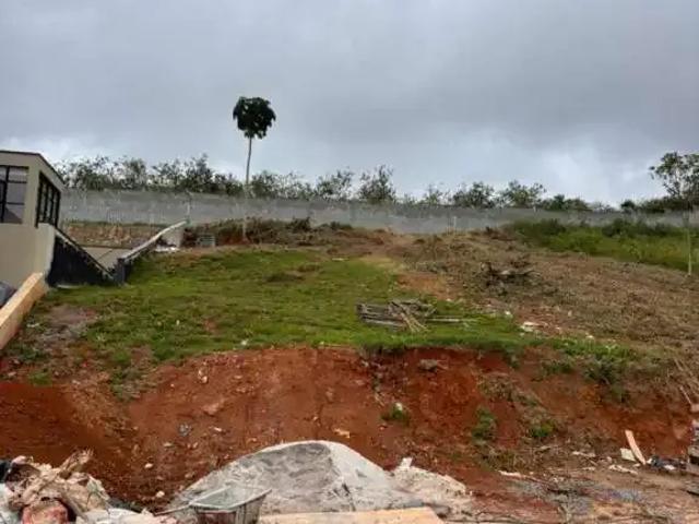 Terreno em Condomínio para Venda em Santa Isabel/SP Reserva Ibirapitanga