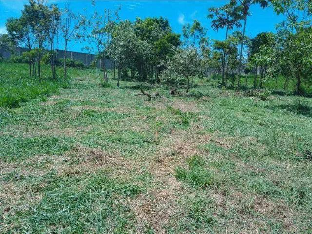 Terreno em Condomínio para Venda em Santa Isabel/SP Reserva Ibirapitanga