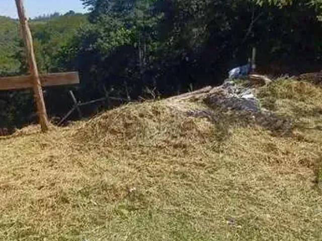 Terreno em Condomínio para Venda em Santa Isabel/SP Reserva Ibirapitanga