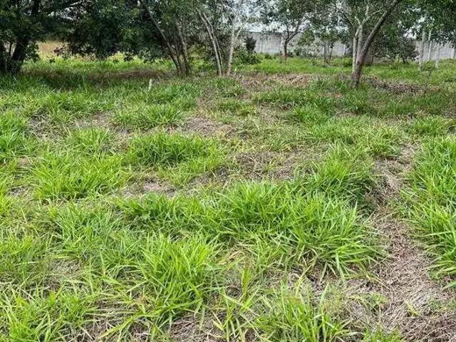 Terreno em Condomínio para Venda em Santa Isabel/SP Reserva Ibirapitanga